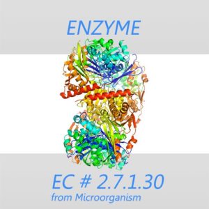 Glycerol kinase